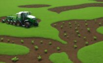 Organic Fertilizers Vs. Synthetic Fertilizers: Pros And Cons